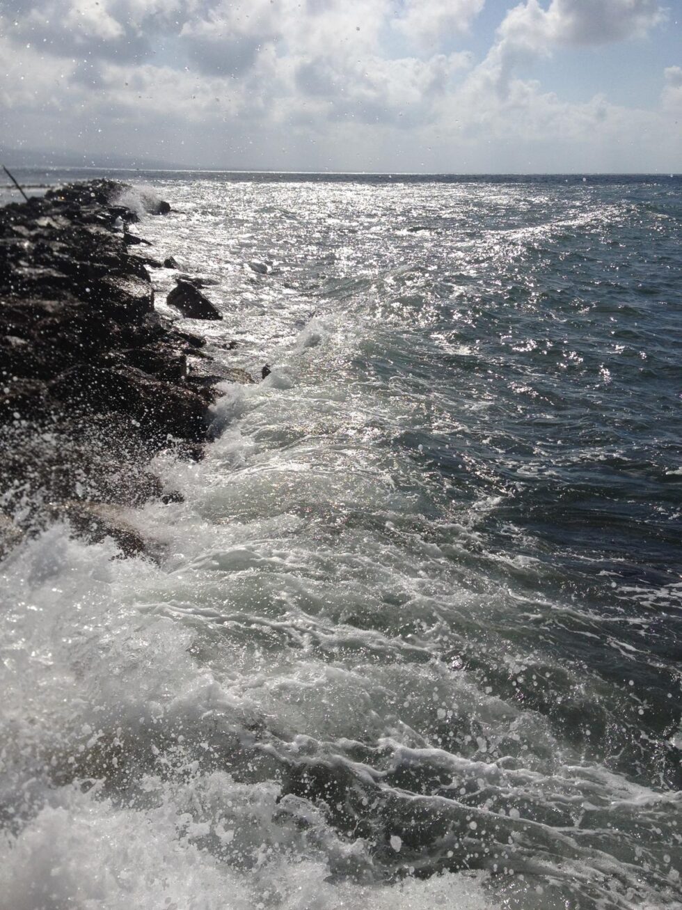 The “Flottant” project for the development of renewable energy in the ...