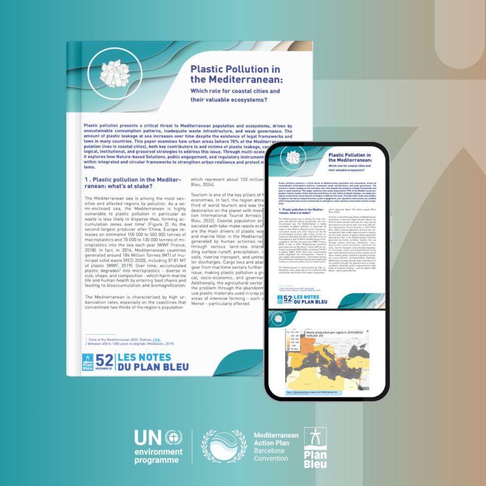 Plan Bleu publishes a new note on plastic pollution in the ...